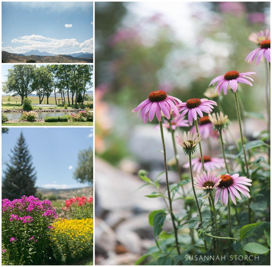 Longmont Colorado Wedding | Shupe Homestead